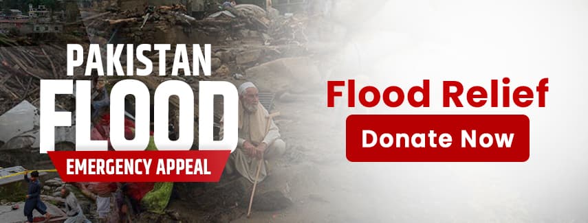 Home - My Impact Meter